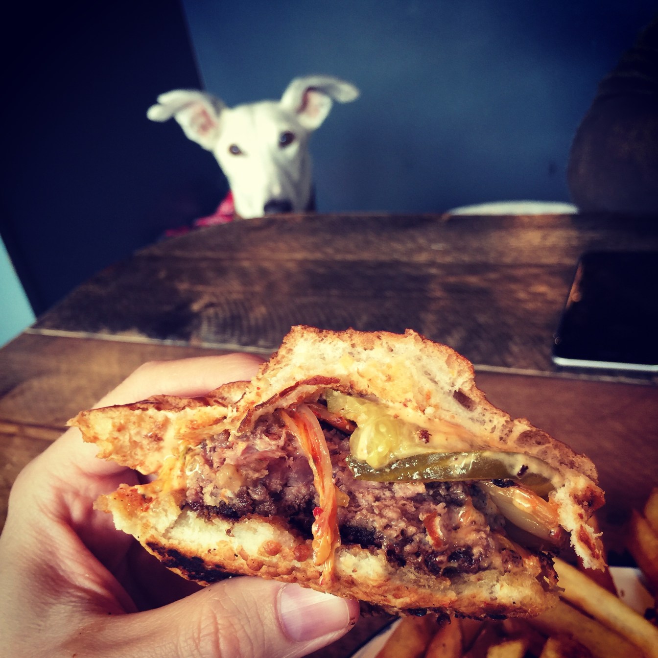 The Cult Burger / NYC Burger – El Perro Negro Kitchen Takeover at ...